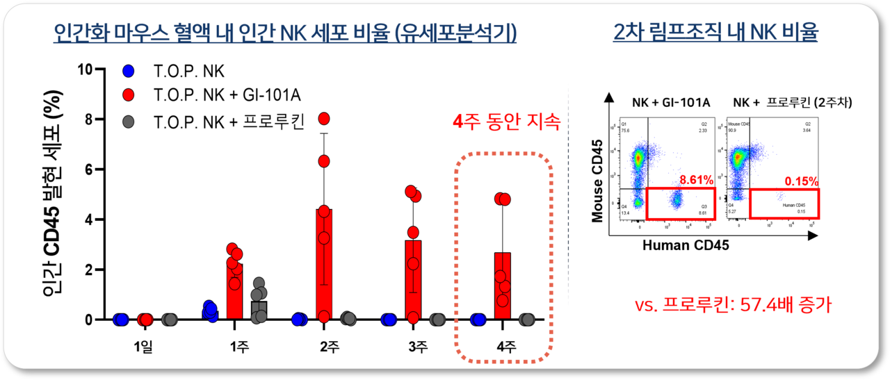 지아이셀-지아이이노베이션,NK세포치료제·GI-101A 항암 병용요법 도전